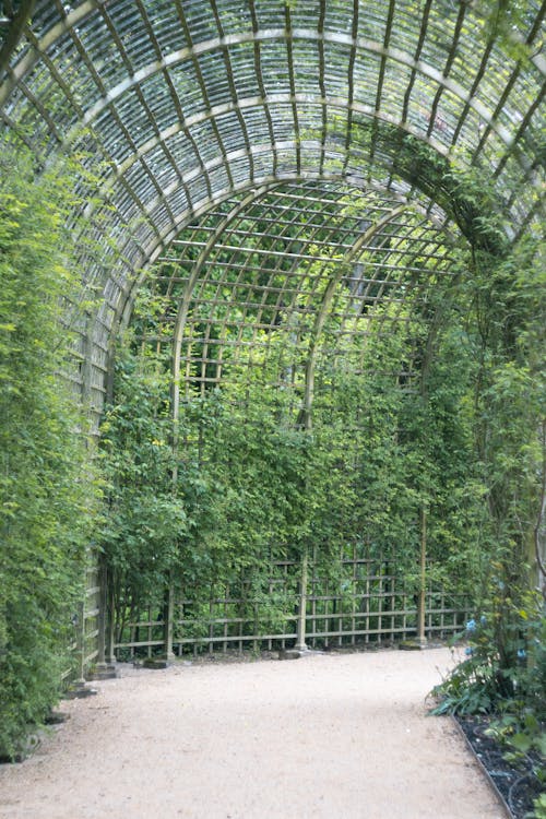 Artificial Trellis, LED Solar Plant Supports ,Garden Obelisk