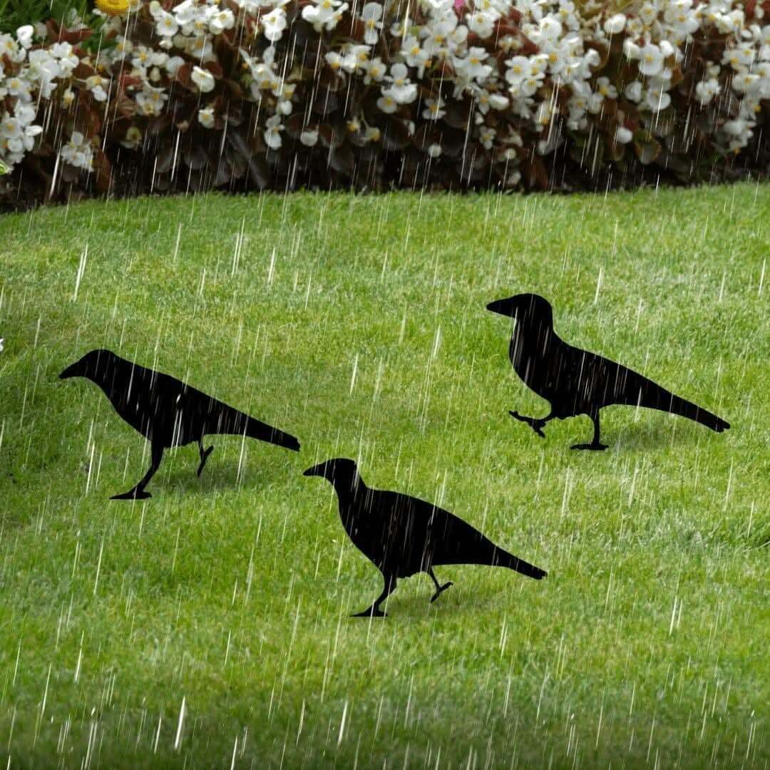 3x Metal Crow Target Set