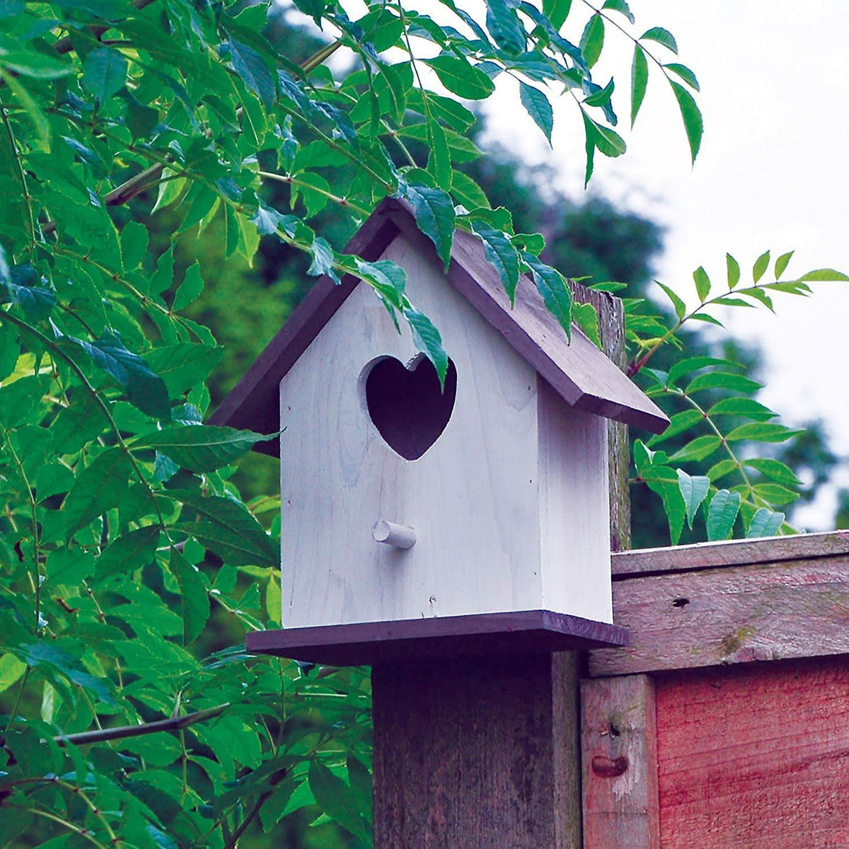 Bird Houses & Nesting Boxes | Marco Paul UK