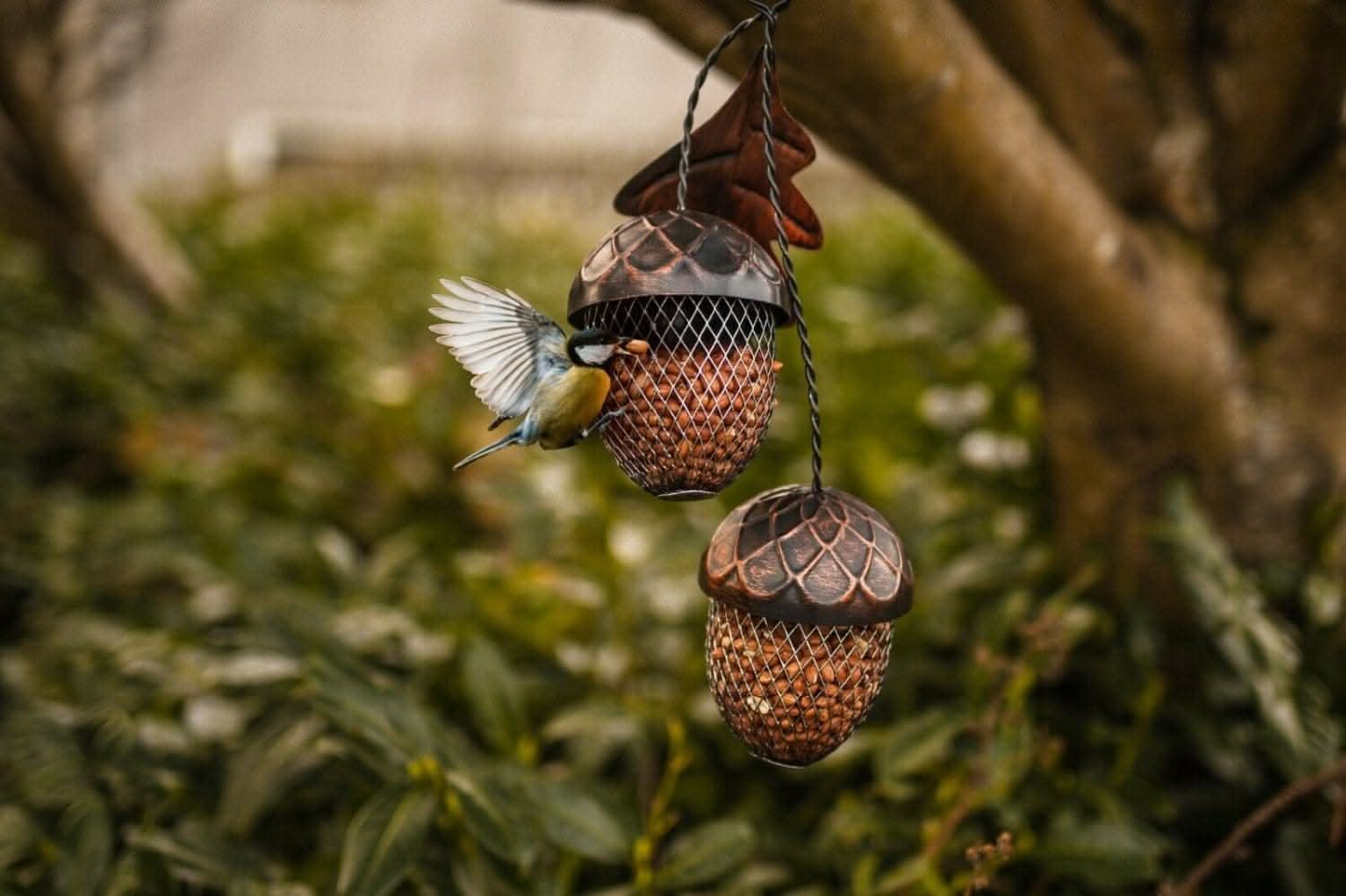 2pc Acorn Bird Feeder